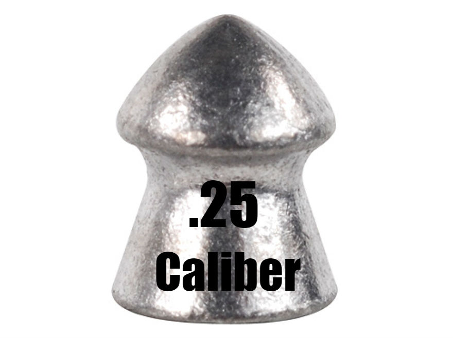 .25 Caliber - TalonAirguns